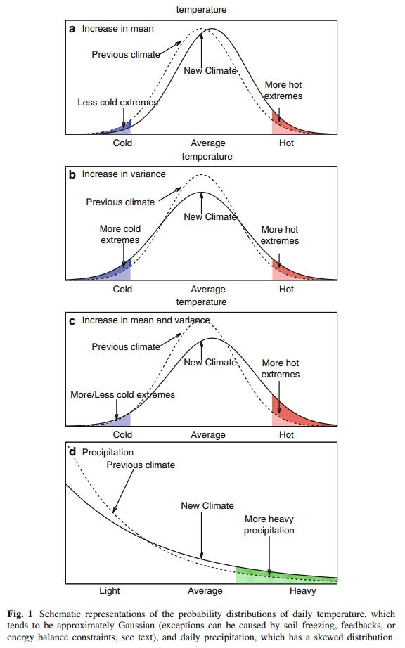 Tail effects in climate science and the pleasures of polymathy