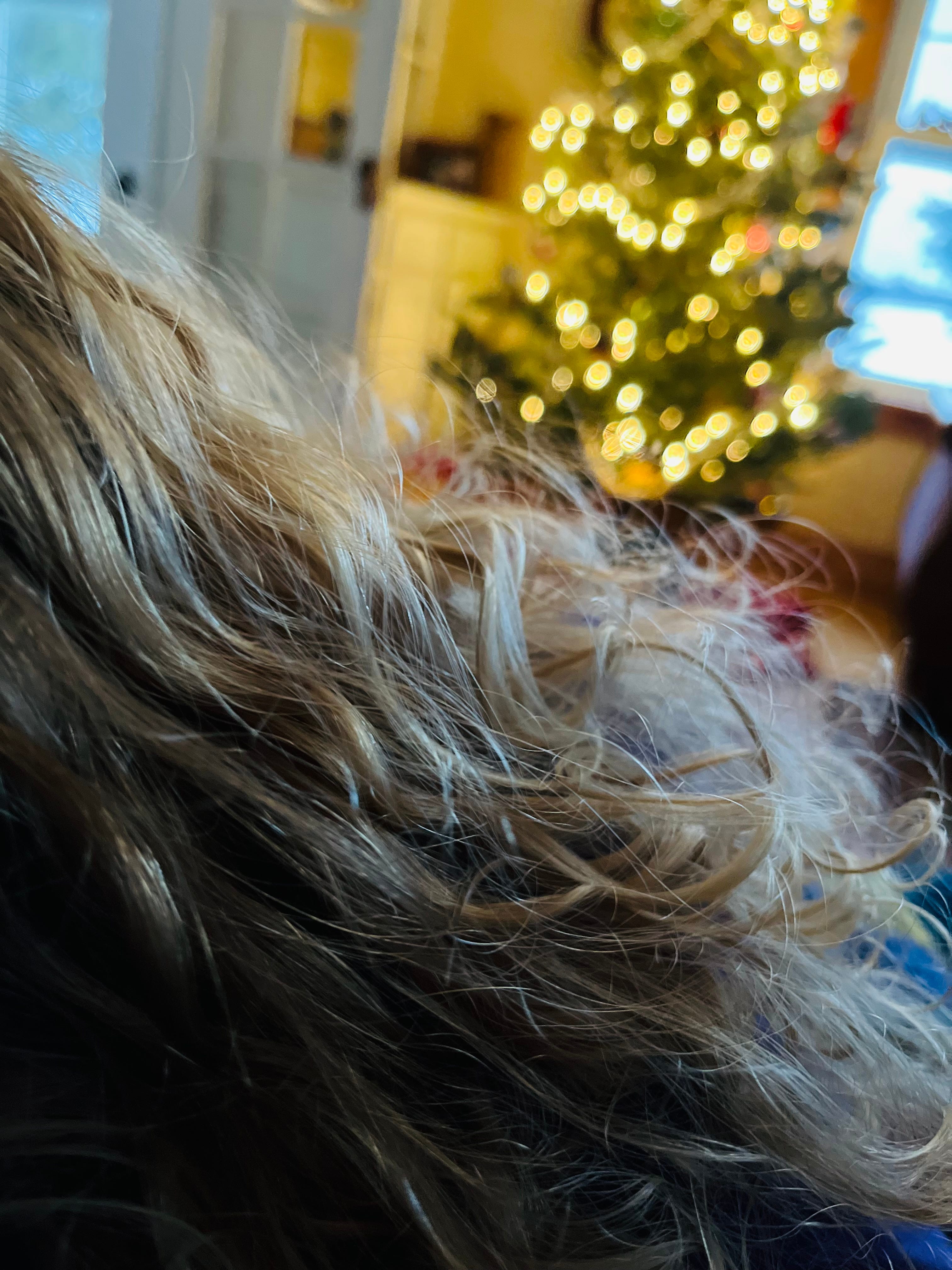 THE HEART OF THE ARCTIC CRYSTAL - by Caroline Manring