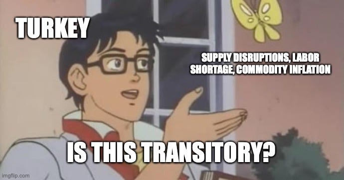 Transitory Inflation: Wishful Thinking - by CapitalBleed