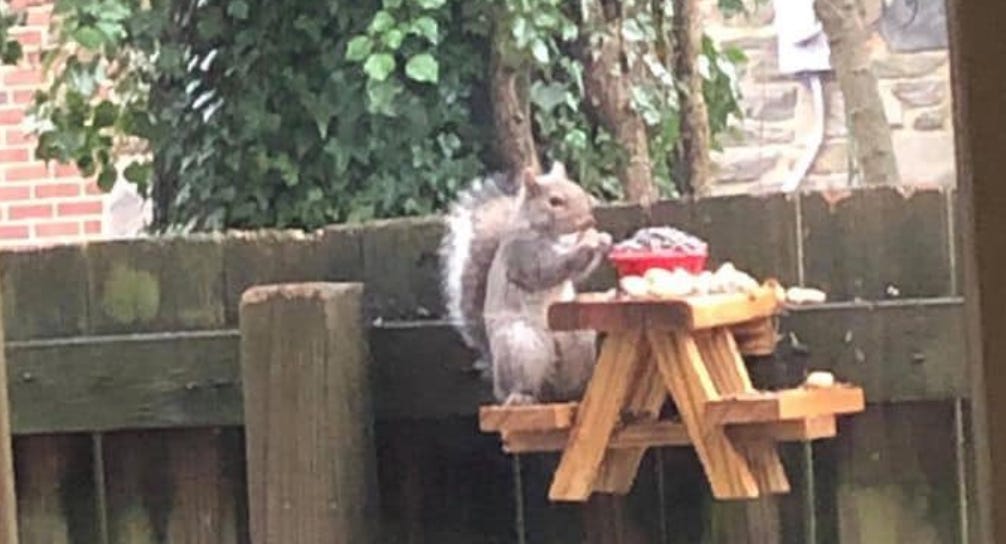 Piacere - by Gio - Cosine carine