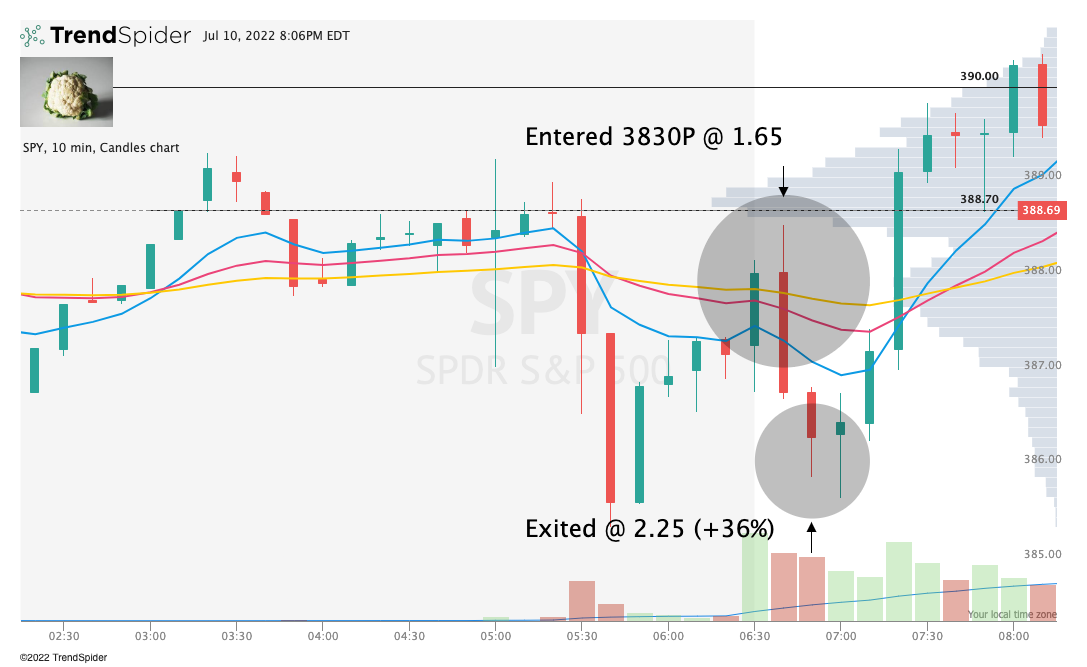 How I Use Volume Shelves - Cauliflower Calls' Newsletter