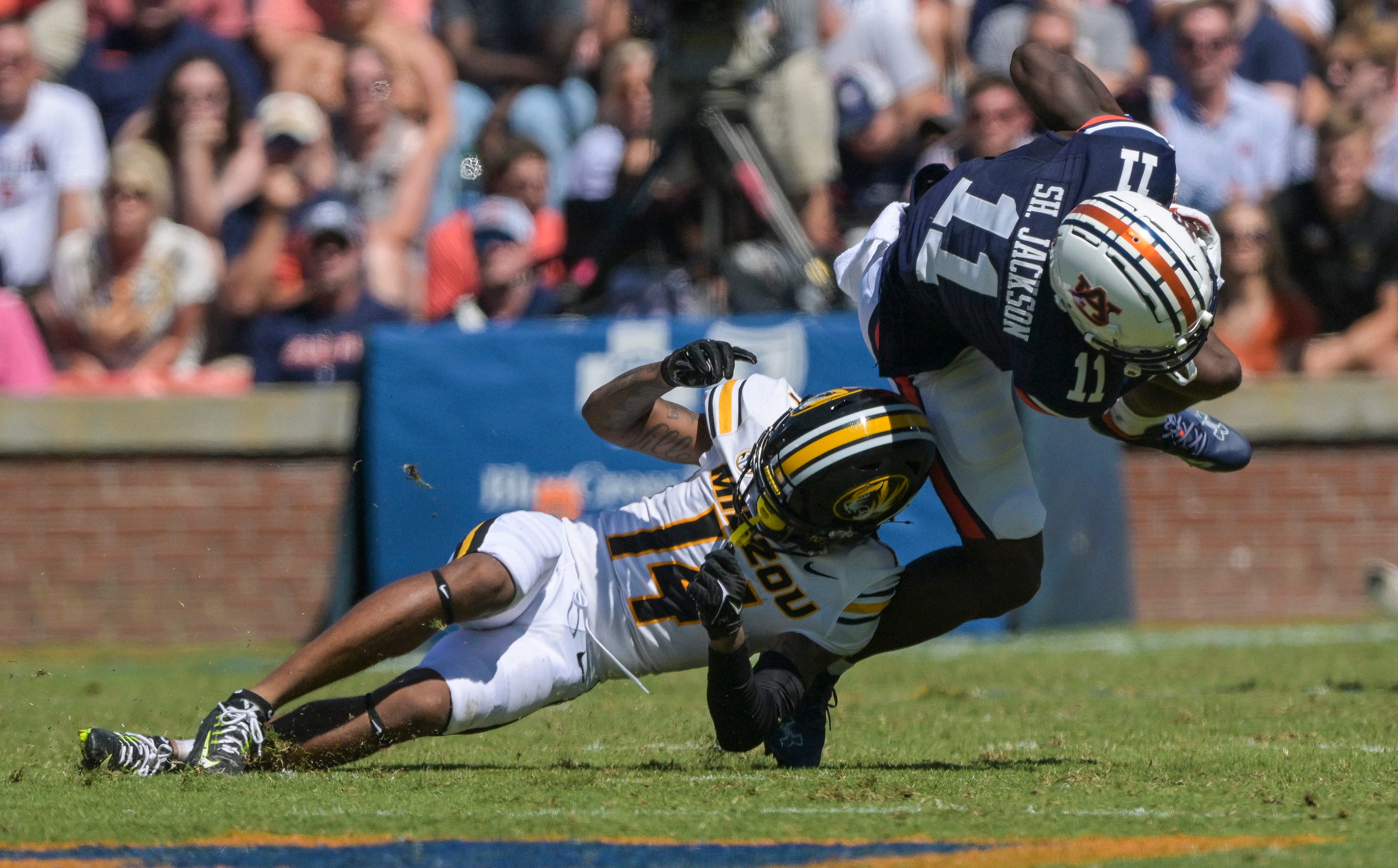 'We've got dogs in that room, and we haven't been able to show it as much.'