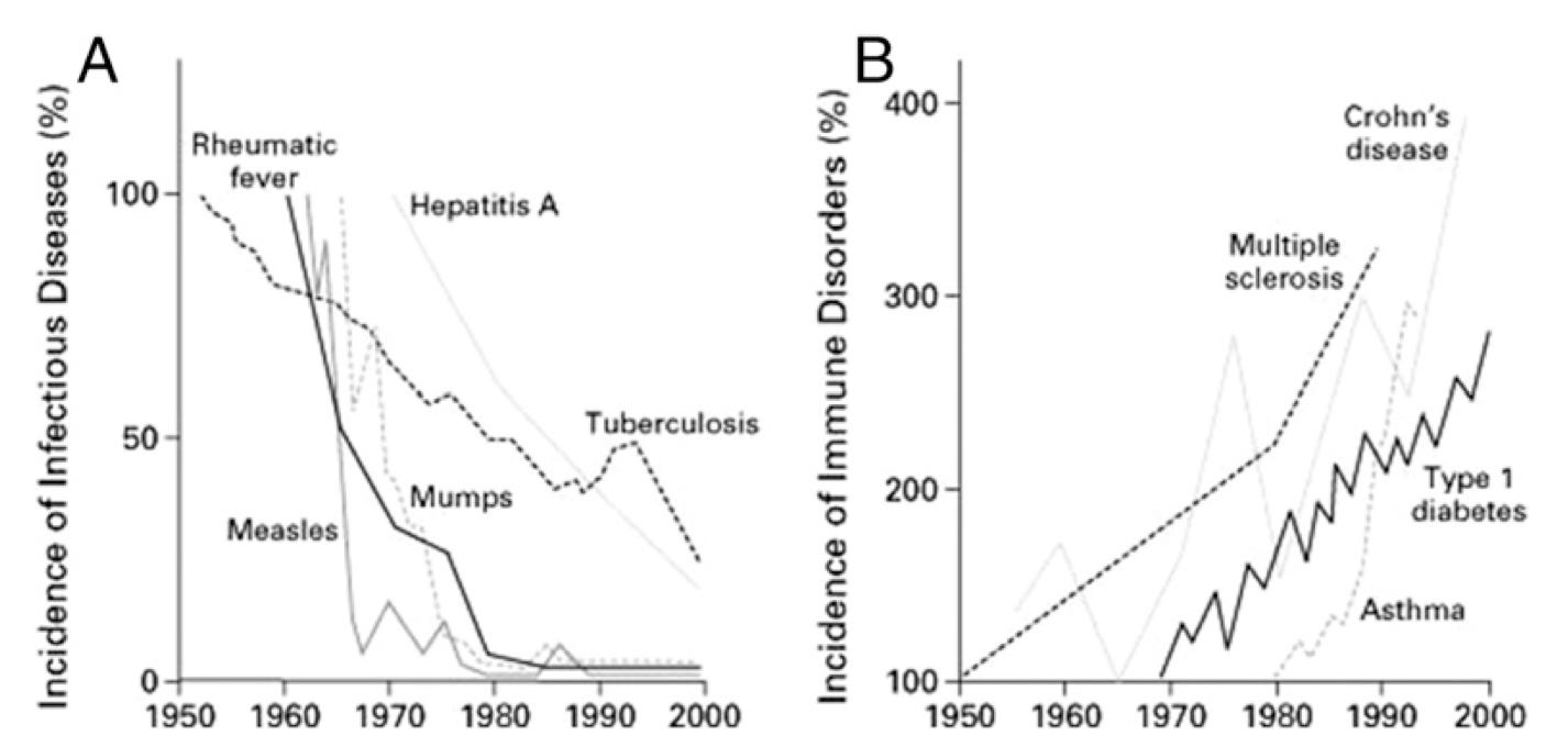 Immune Debt Denialism - by Brian Mowrey - Unglossed