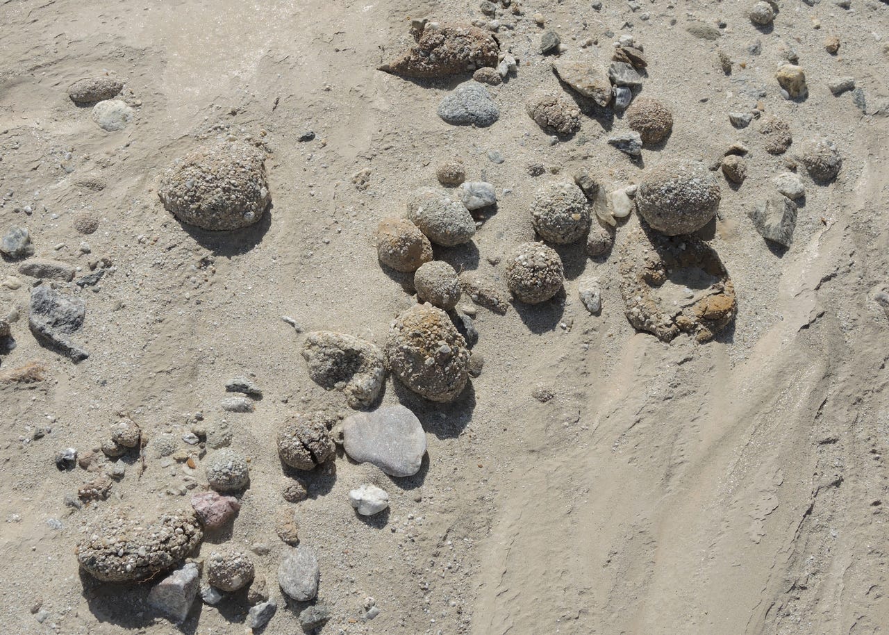 A Rolling Mud Ball Gathers Stones - by Walter Tschinkel