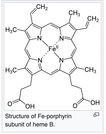 Is the spike protein acting as a prion with regard to hemoglobin ...