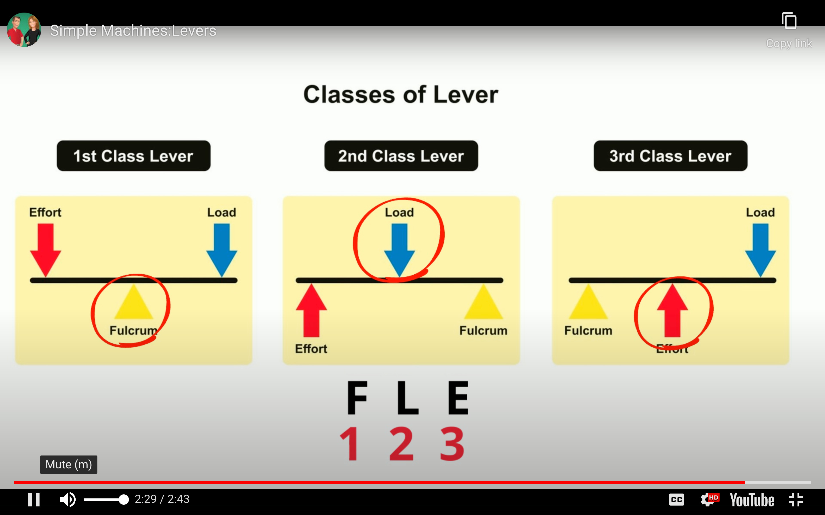 Machines - Learn With Me - A Newsletter by Amelia Grace