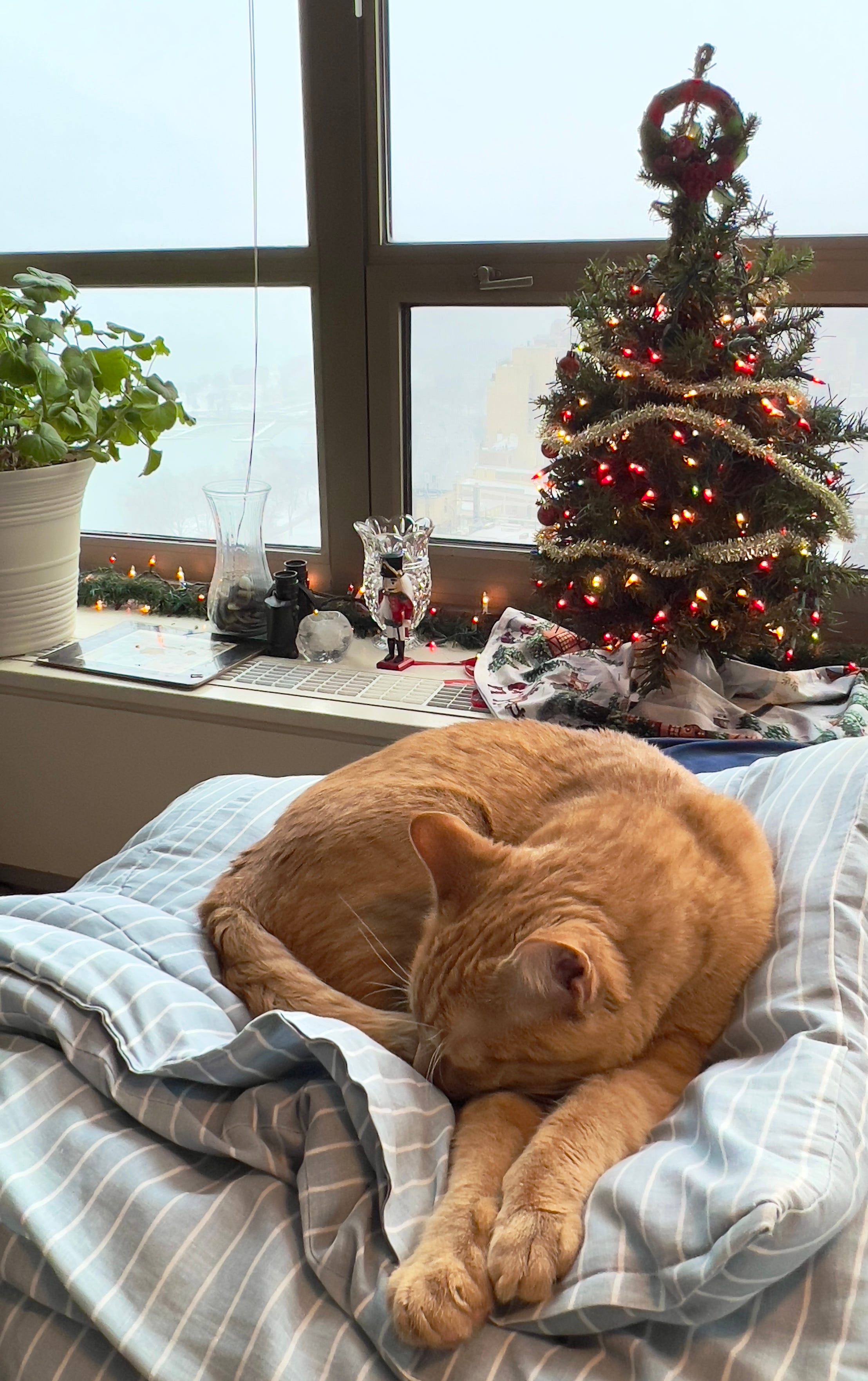 Meat Drop, Market and Beer - by Bob Benenson