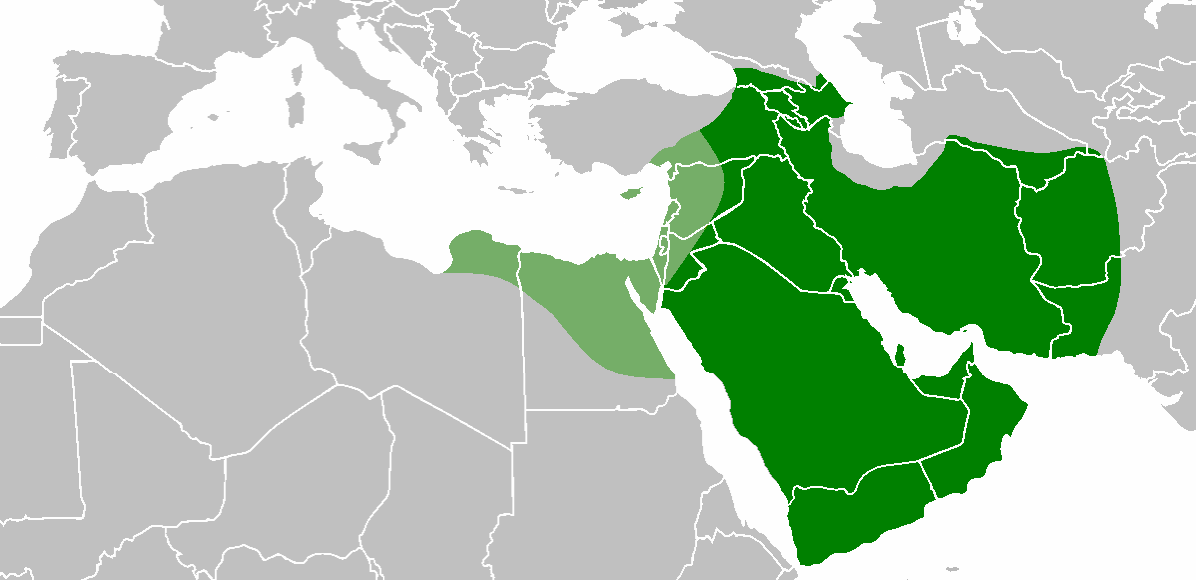 Today in Middle Eastern history: the Battle of Siffin (657)