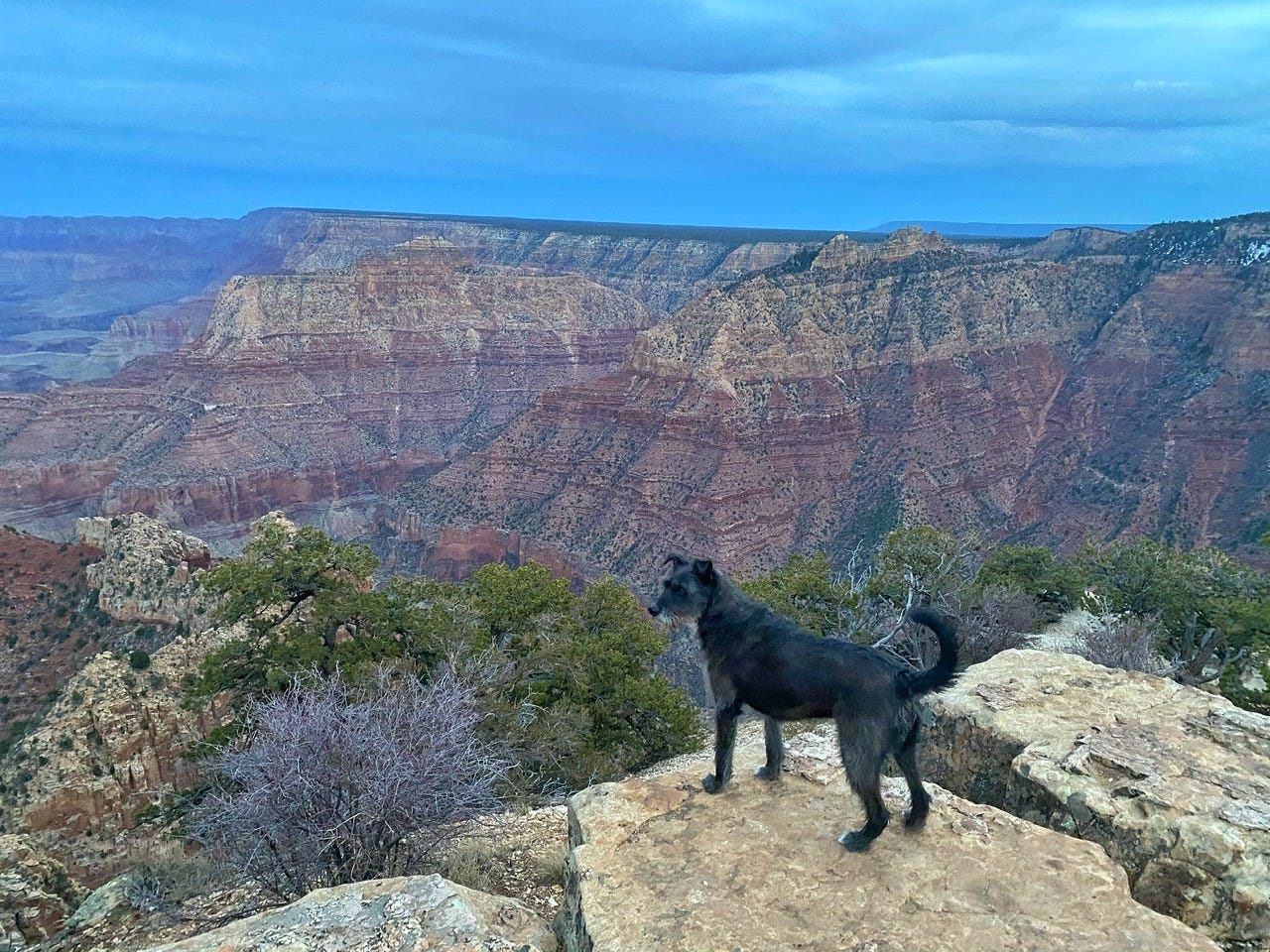 Postcards from the Road: The Grand Canyon