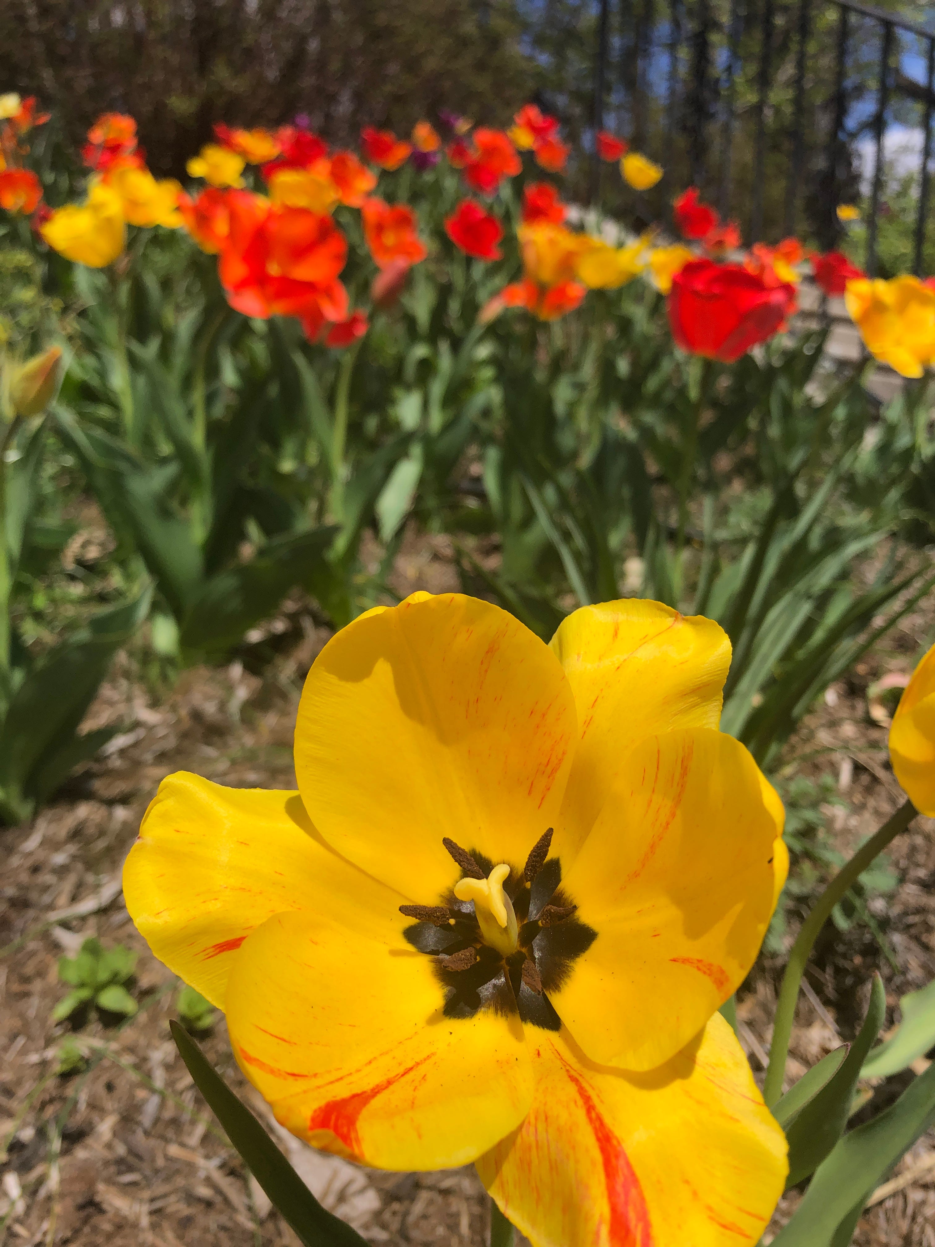 Are We Wired to Worry? - by Kaitlin Curtice