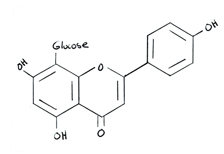 Thyroid Toxins: Double-Edged Swords of the Kingdom Plantae