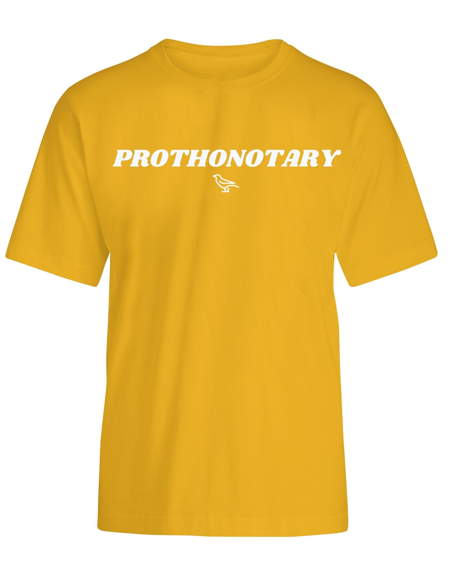 Prothonotary Warblers, the 'swamp candles' of our flooded forests