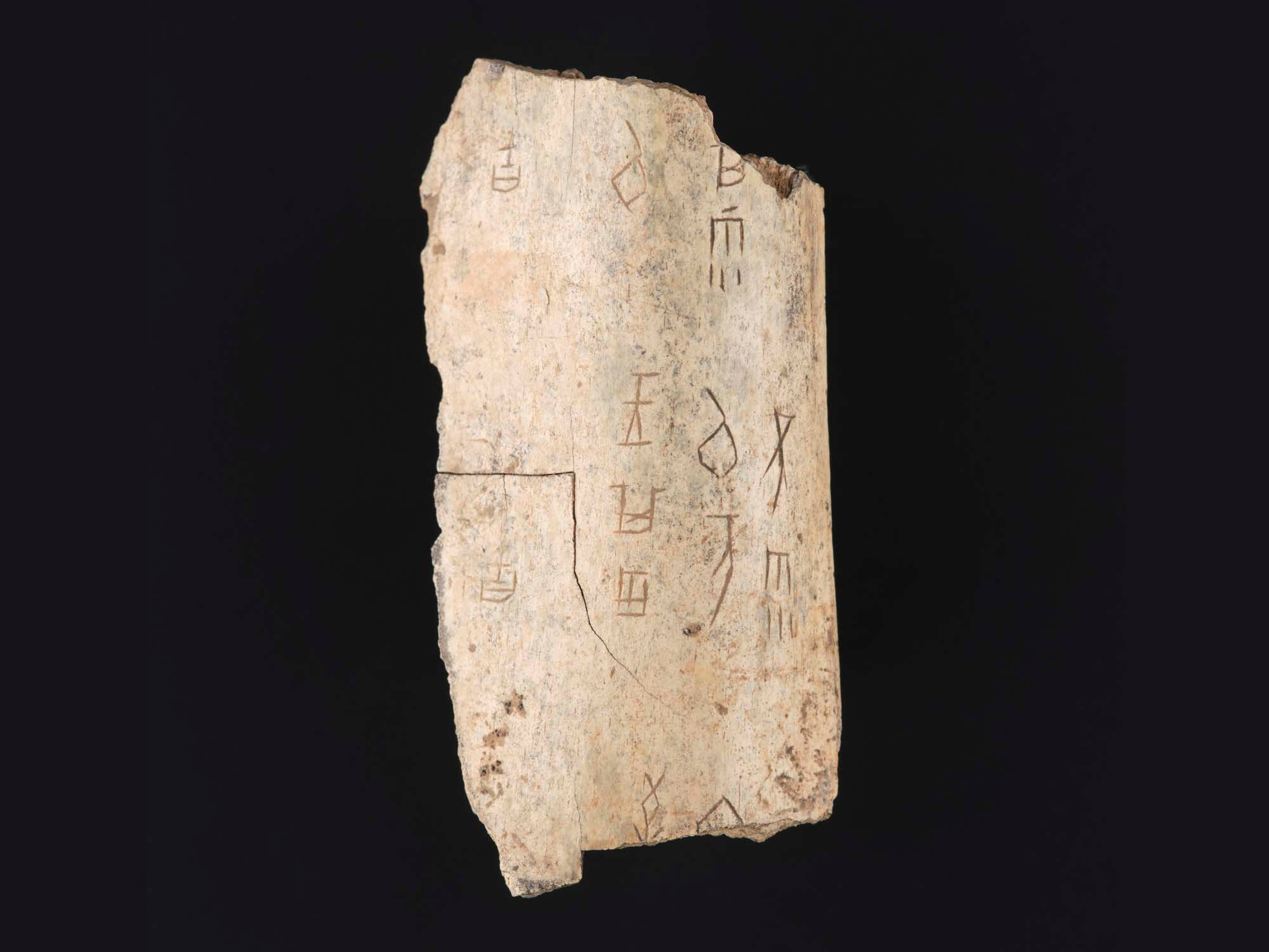 Hand Writing - by Toronto Ink Company