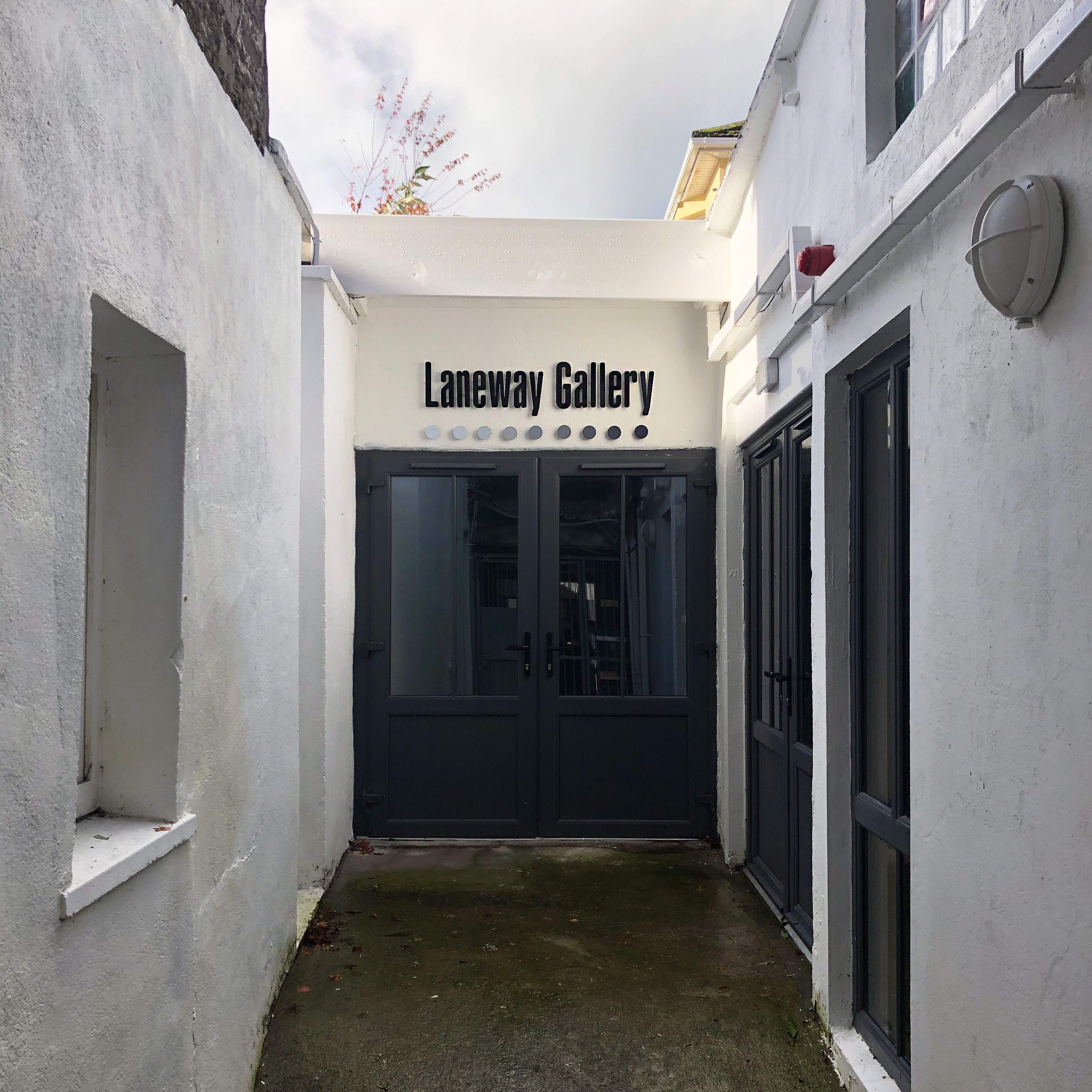 Meet the owner of Cork's newest gallery - by Ellie O'Byrne