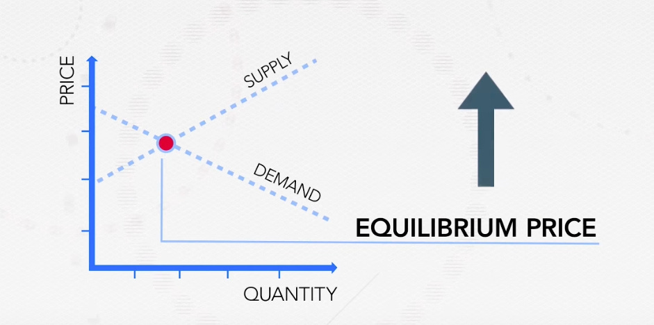 Supply and Demand Explained - Everyday.MBA