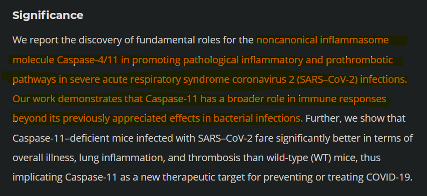 Spike Protein as a endotoxin delivery system - by Moriarty