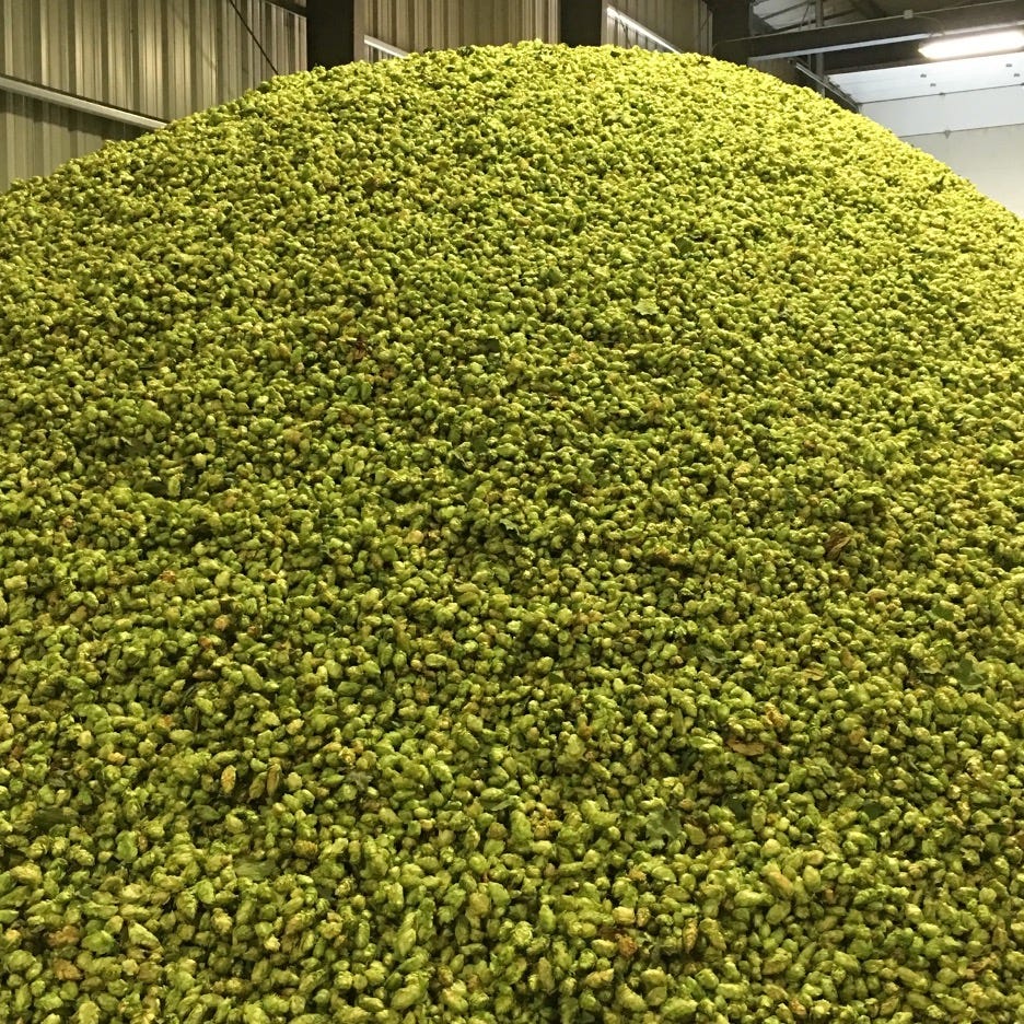 Massive Hop Inventory in the U.S. - by Douglas MacKinnon