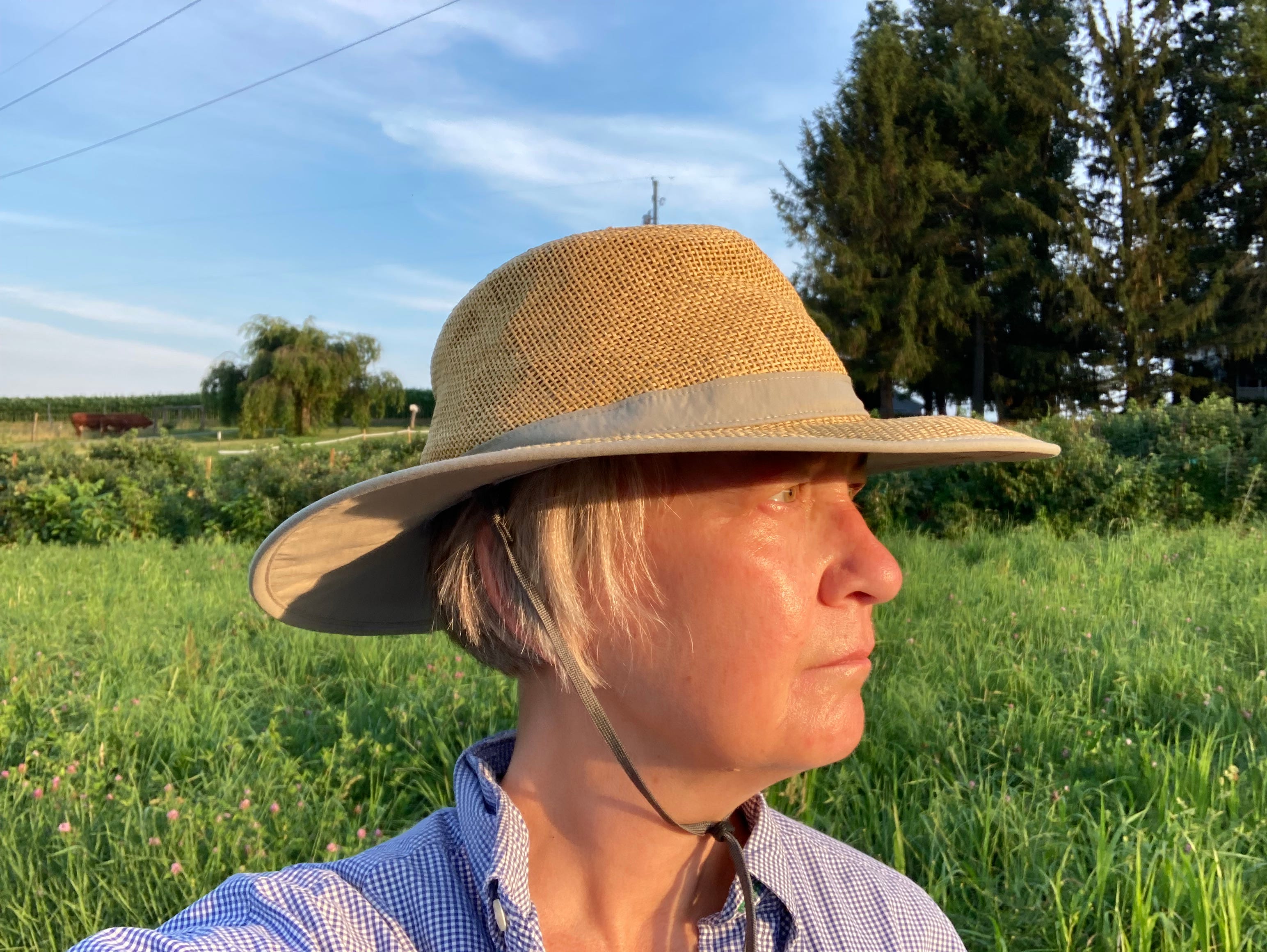 Spatchcock: A culinary term for our times - by Kim O'Donnel