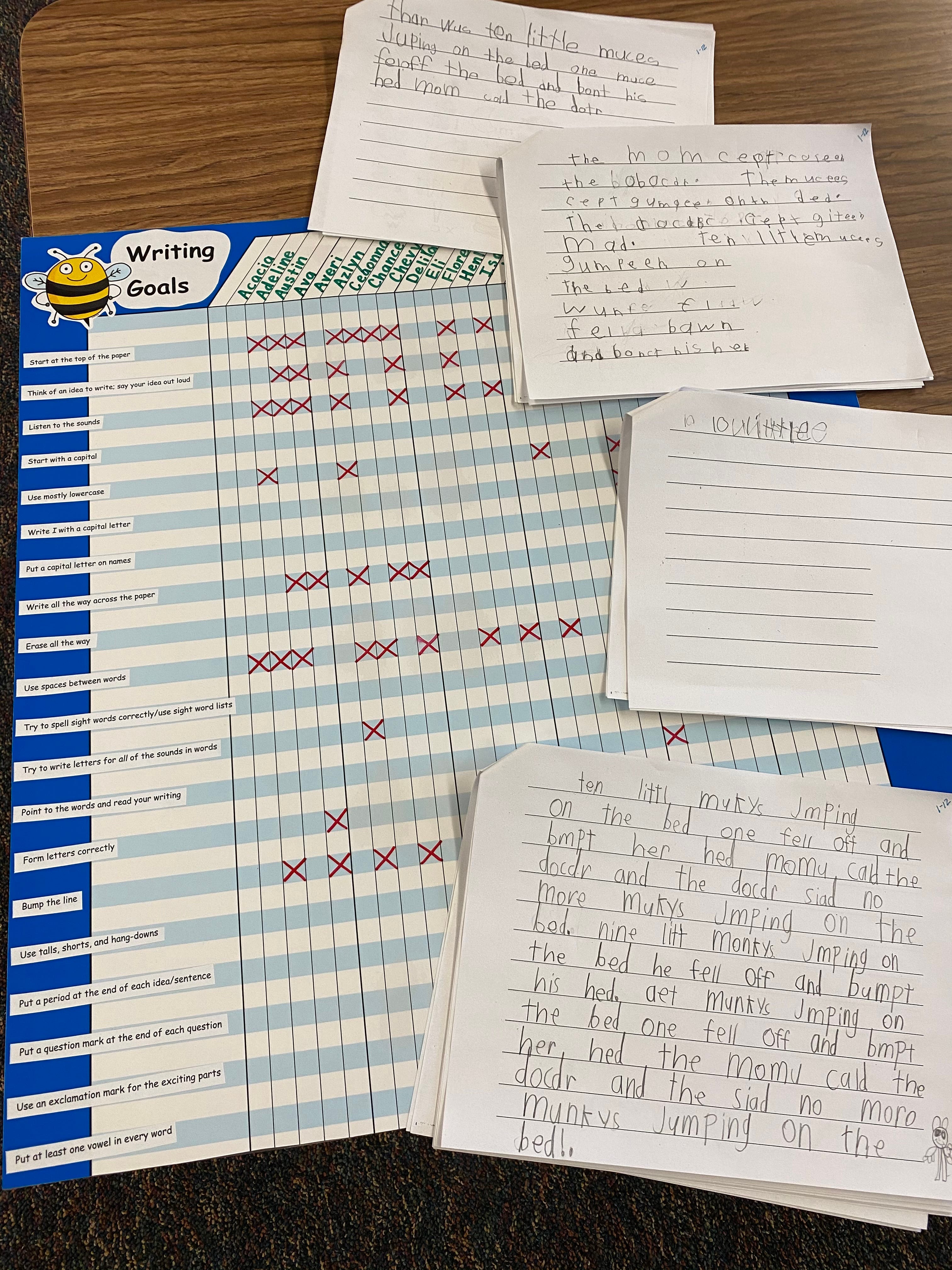 Individual Writing Goals - by Randee Bergen