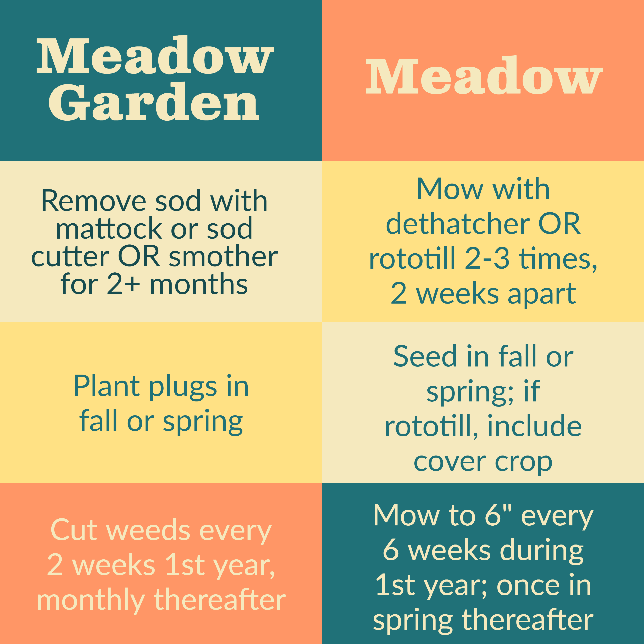 3 Steps to Make a Meadow - by Heather Evans