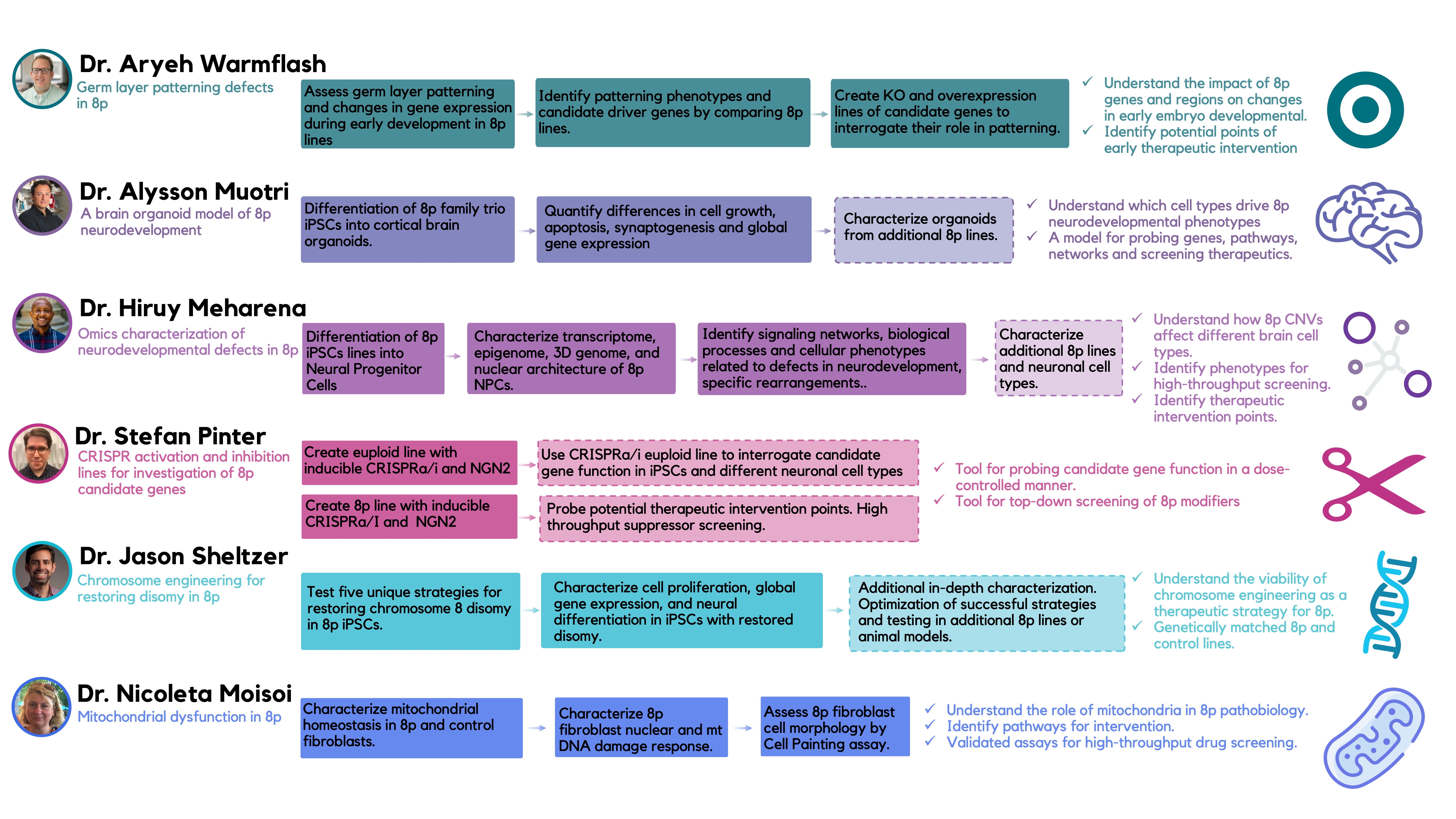 Project 8p 2022-2024 Research Plan