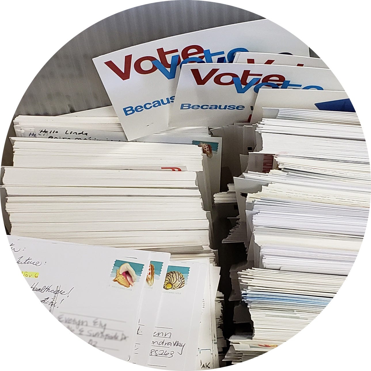 What Democrats are FOR: Our Values | Antonia Scatton