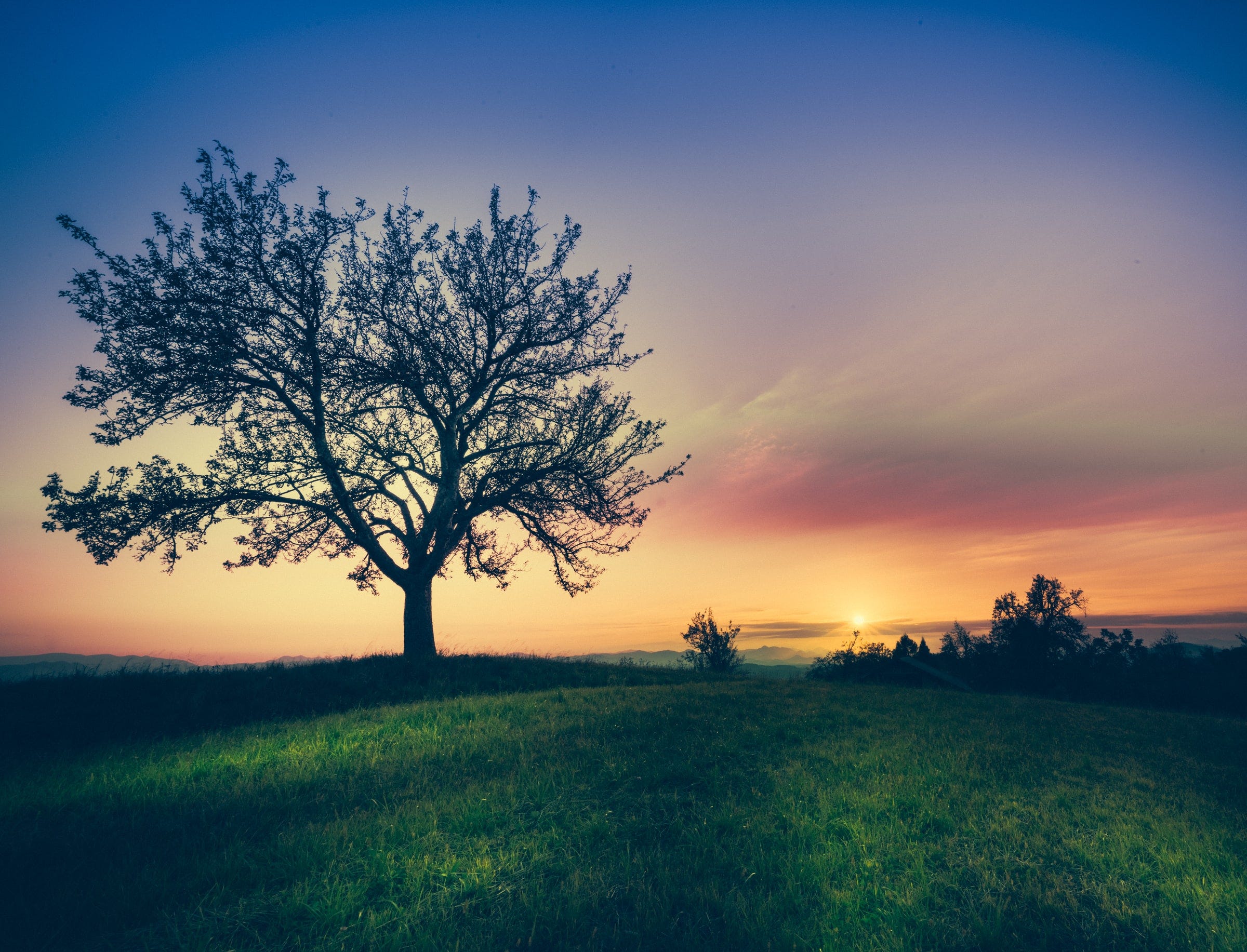 Jesus is the Narrow Gate - by Jeff M Newman