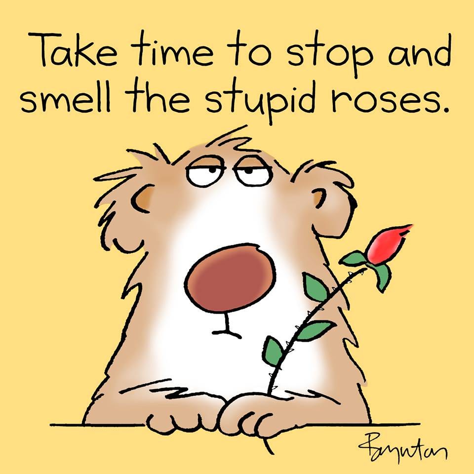 Happy Monday! - by Sam Robb - Perceptions