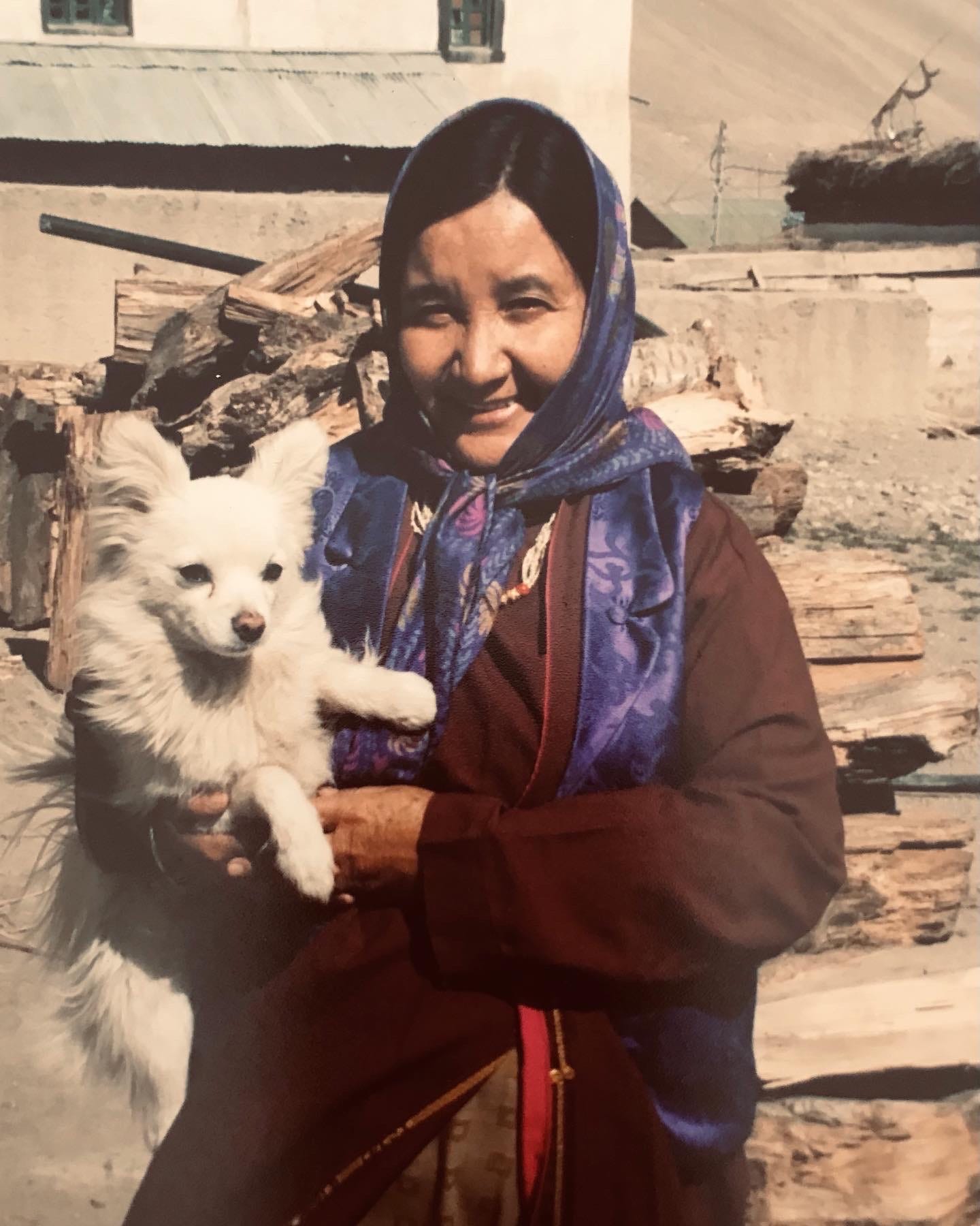 Danny Boy in the Ditch - by Siofra O'Donovan