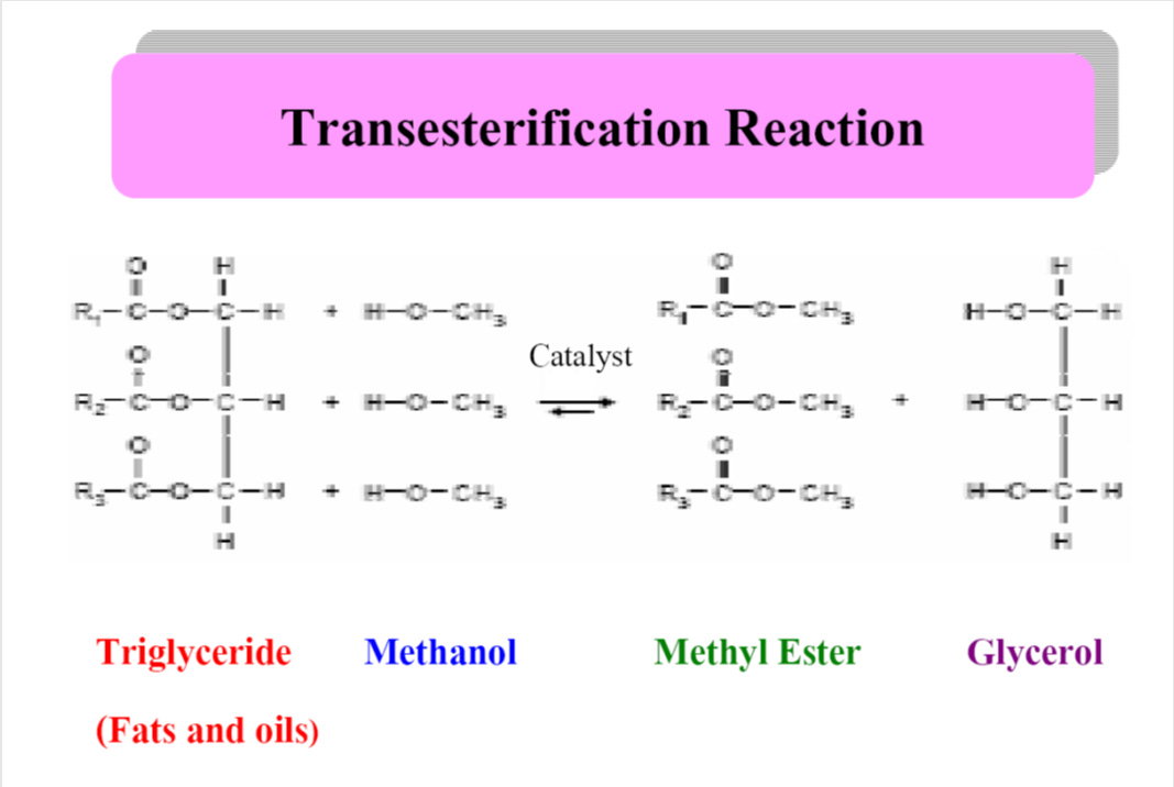 Conversion of cooking oil to bio-diesel - Murray Hunter