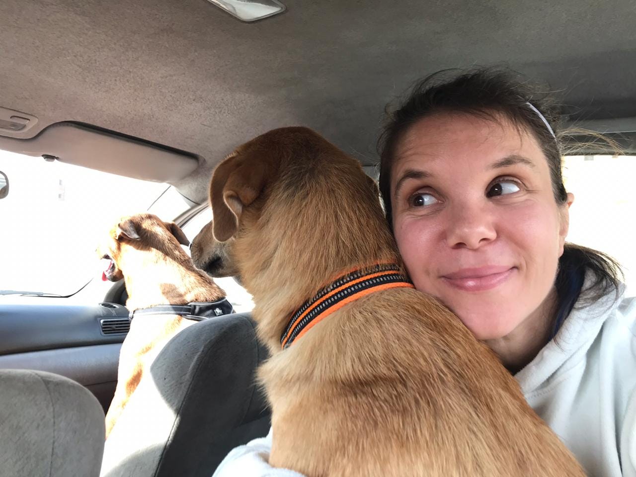 Sarah Carr | Substack