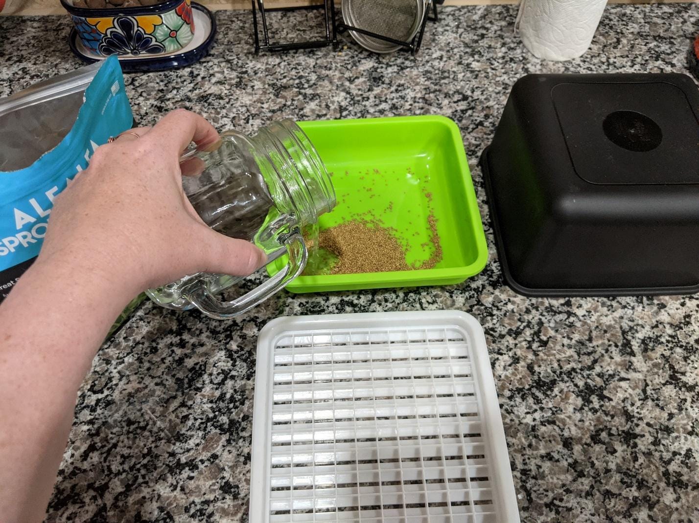 DIY Microgreens - by Mathew Crawford