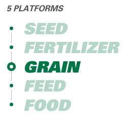 Ag Growth International 2020 Annual Report Highlights and Analysis