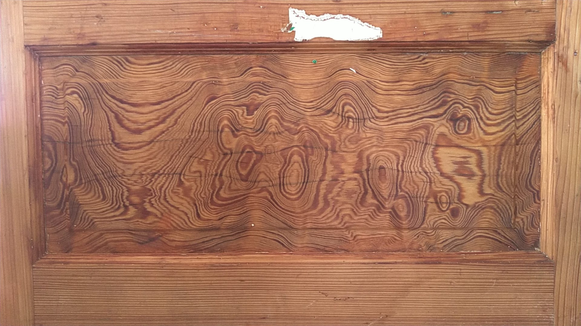 Curly Pine or Burly Pine, neither species but an extremely Rare cut of ...