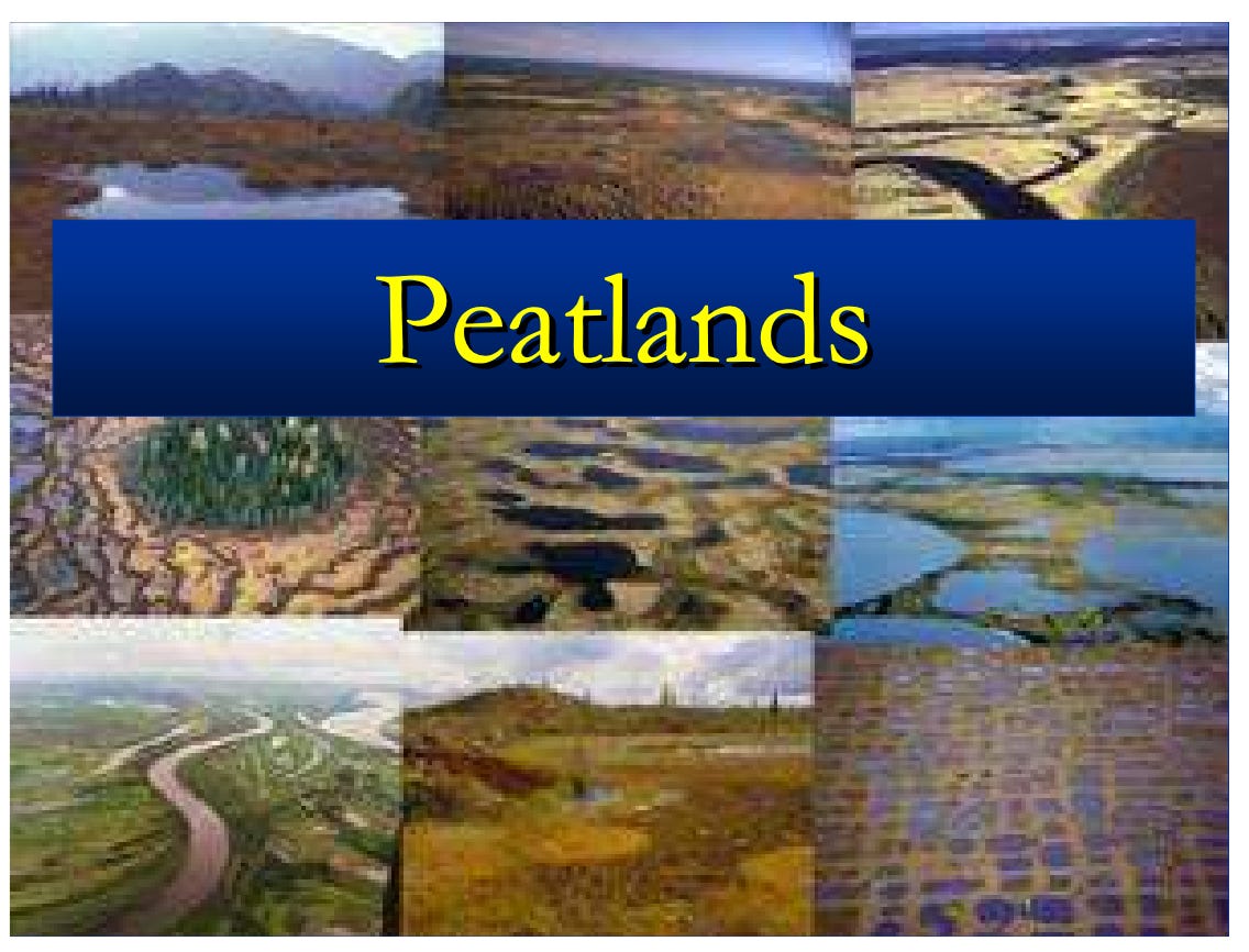 Peatlands & Climate Change: A Global Conversation
