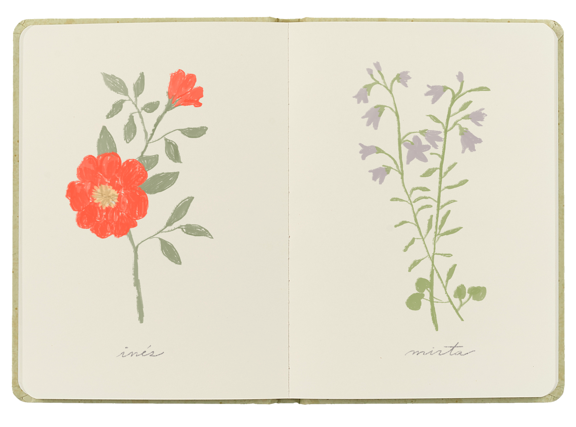 Puente | Mar | Substack