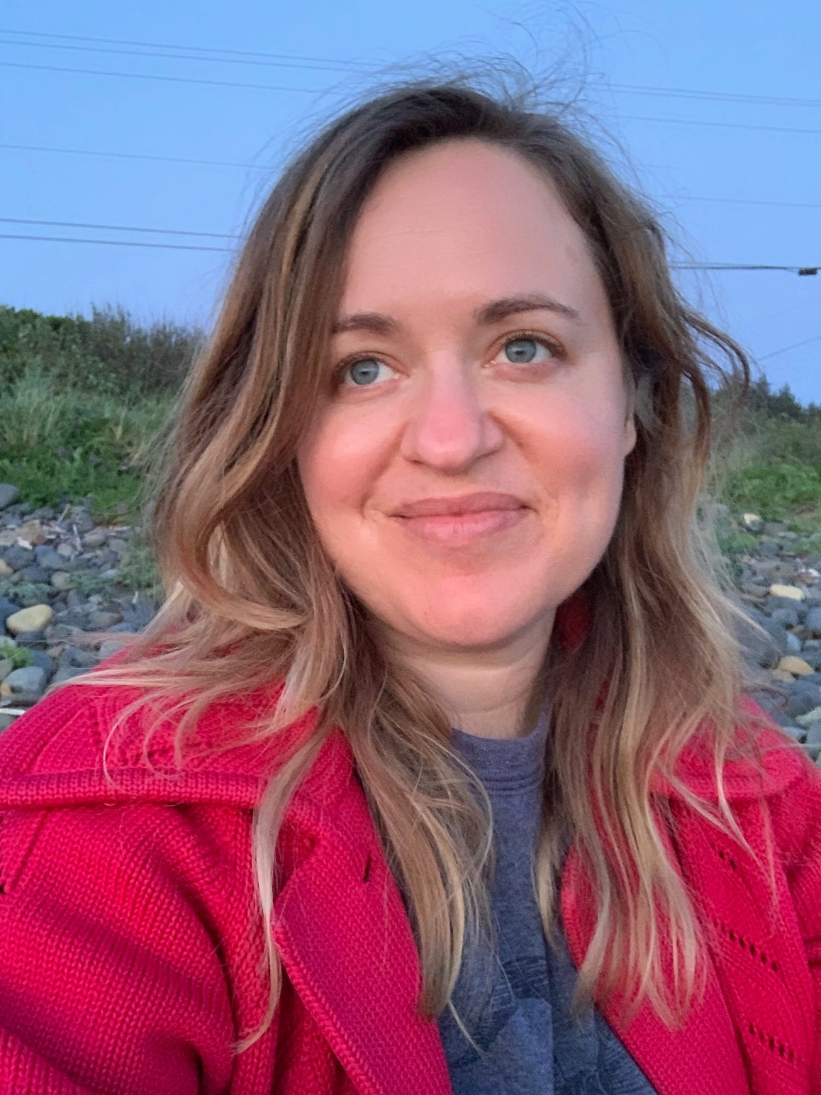 Dr. Mindy Nettifee | Substack