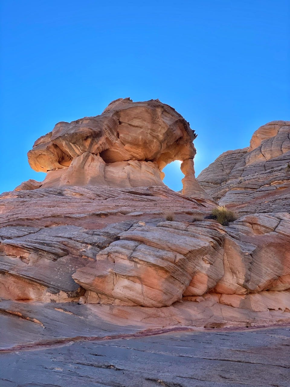 Hiking Buck Tank Draw & Birthday Arch: Mountain Lion Country