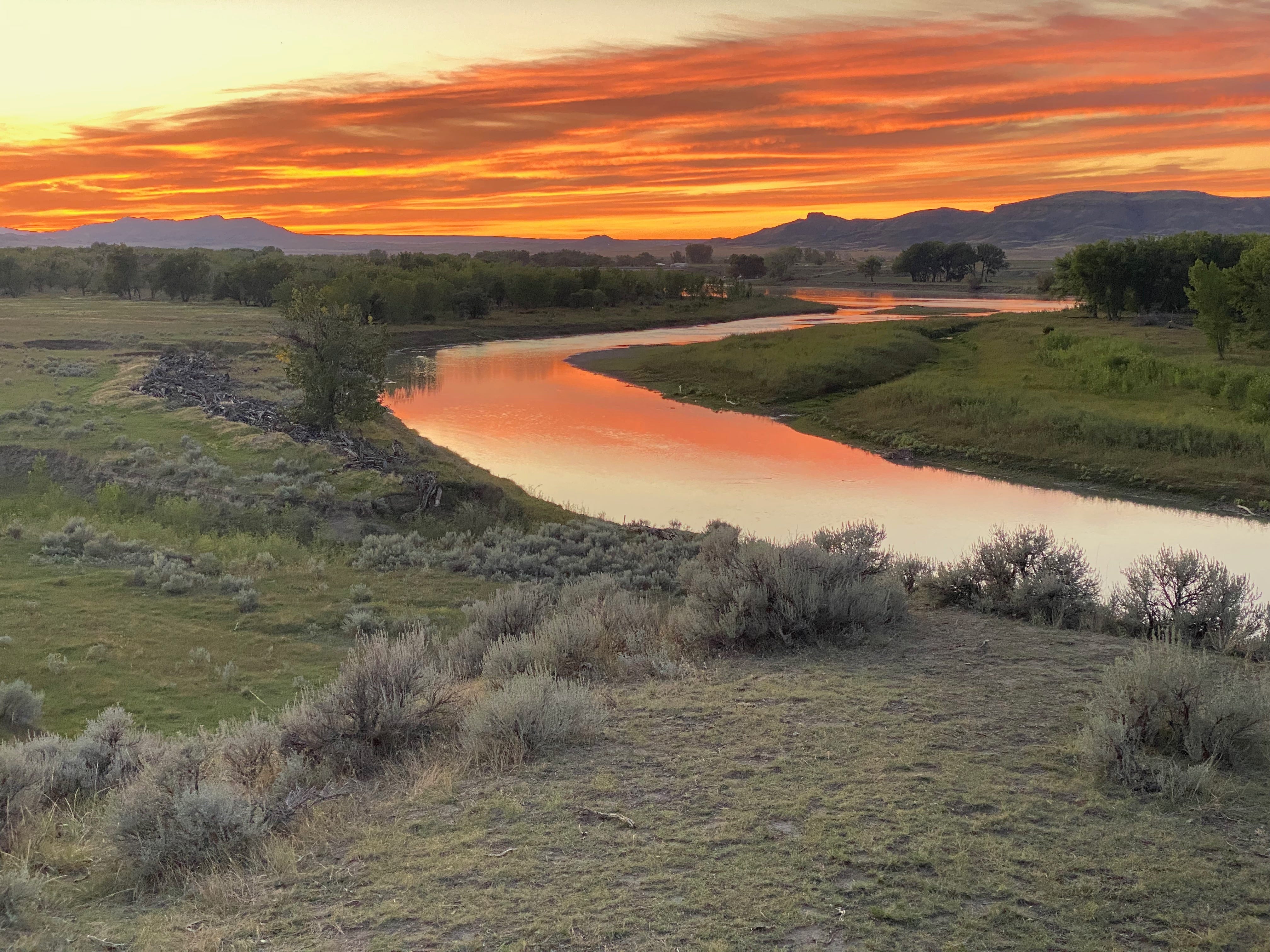 Identity and change: the American Prairie Reserve