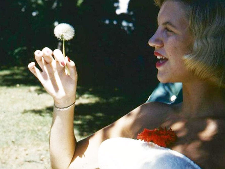 Hauntings By Emily Van Duyne Loving Sylvia Plath