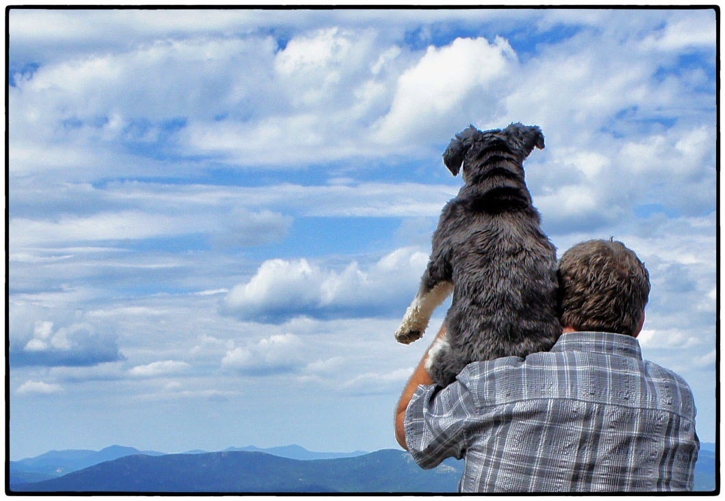 Atticus - Tom Ryan, Author