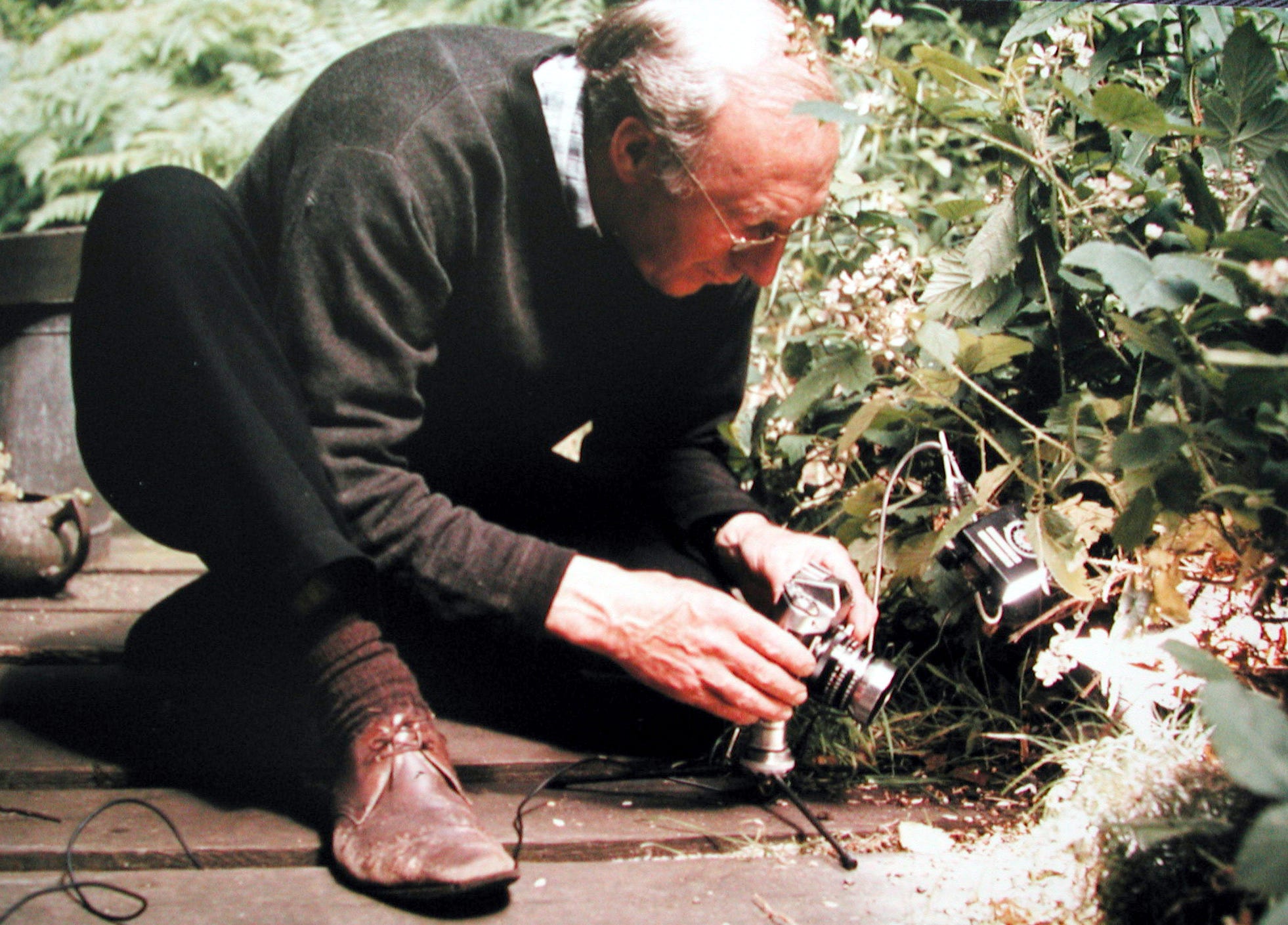 The Signal Box Naturalist - by David Bocking