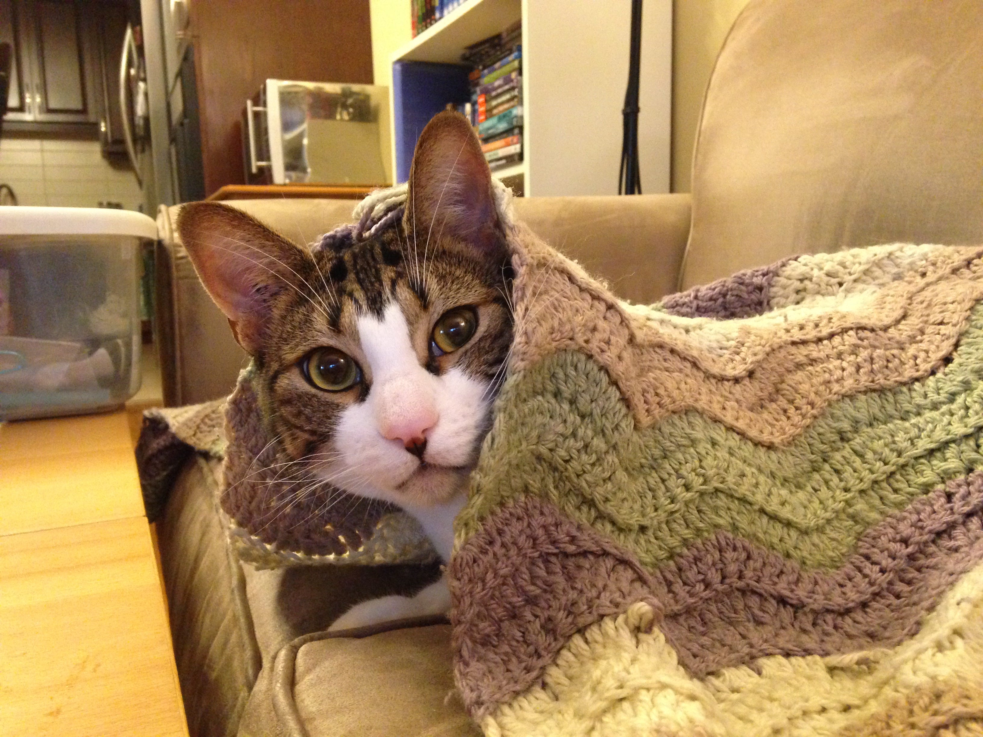 Matthew Claxton | Substack