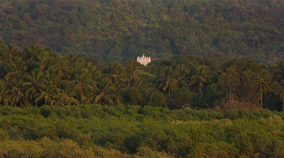 Our Lady of the Sea - Photo Blog by Rajan Parrikar
