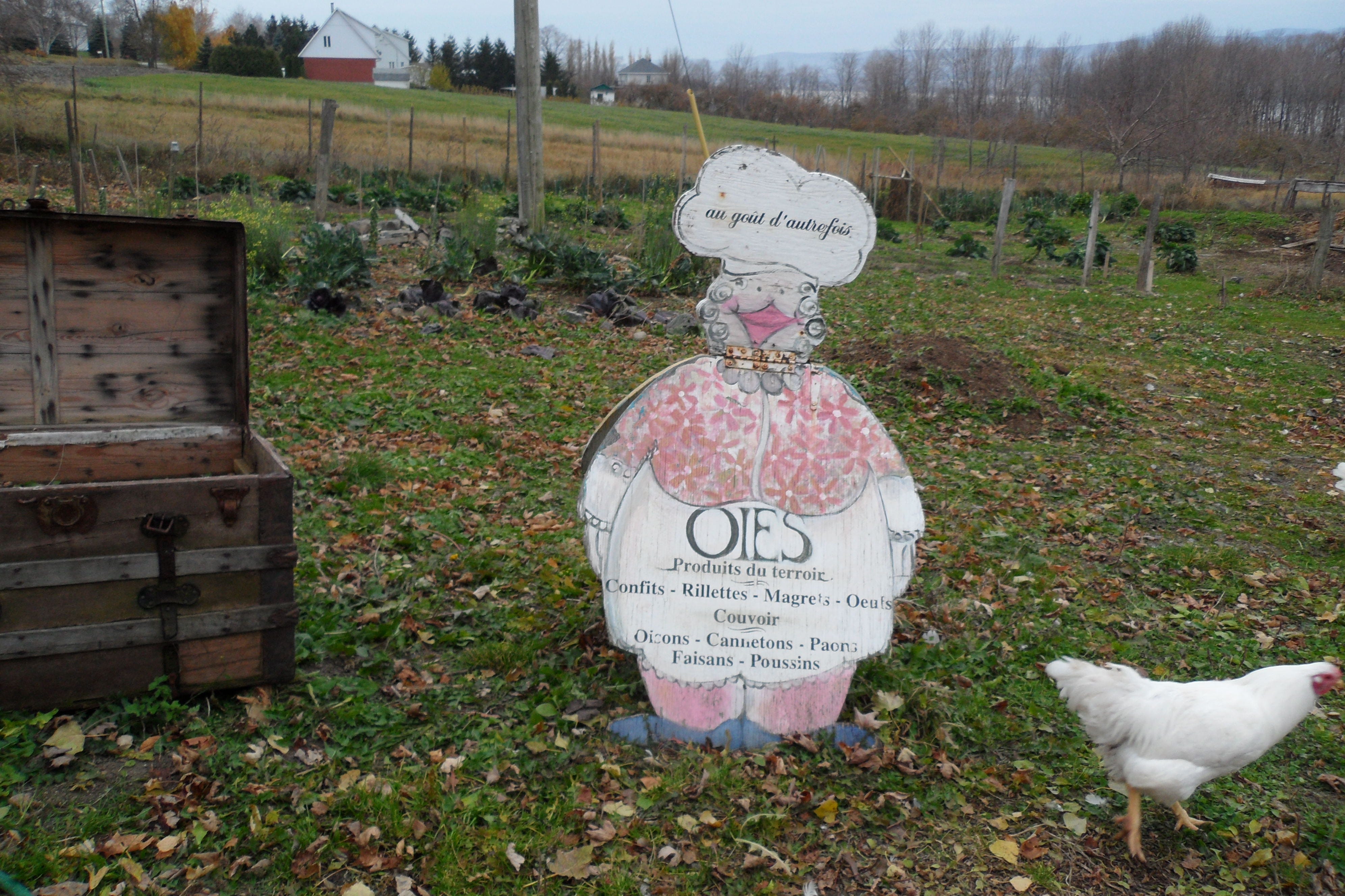 Quebec City - by Lydia Kremer - Window on the World