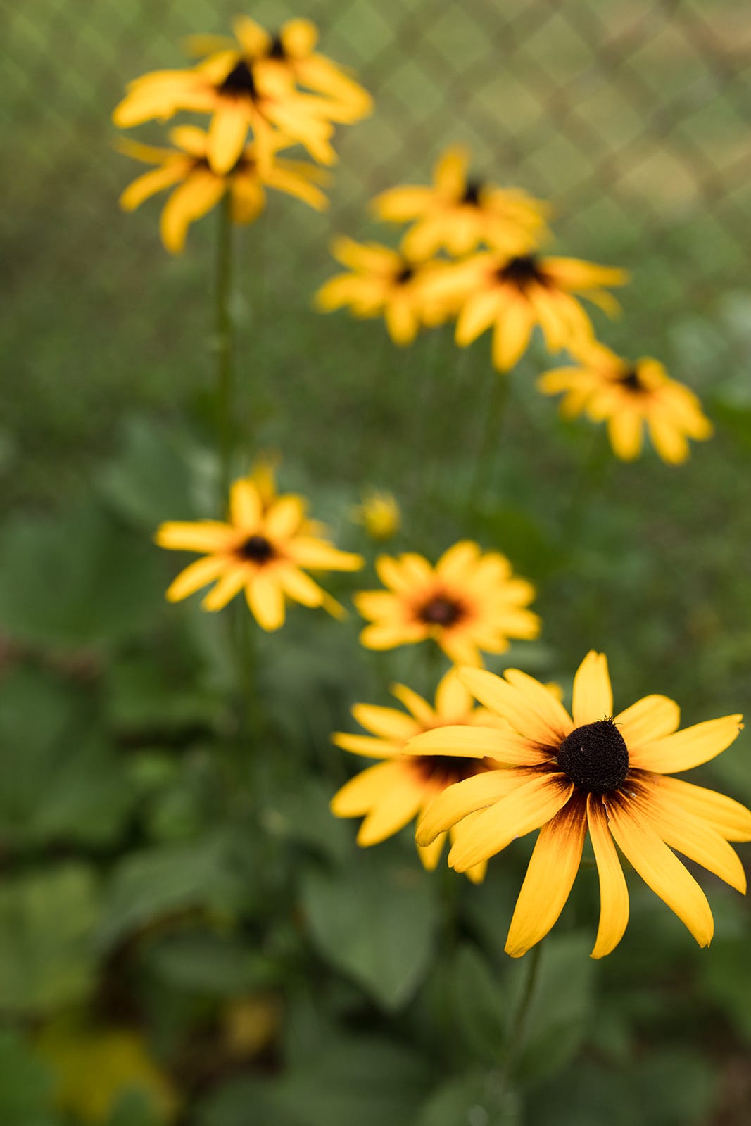 I've been farting around - Ashley Heider Daly