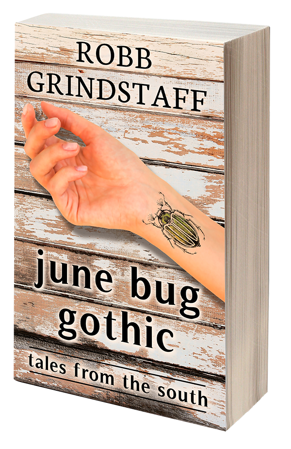 Well Read magazine... an author event