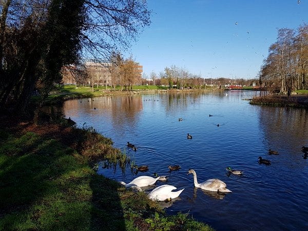 Tallaght, Ireland; DAK; and Free Kindness Resources