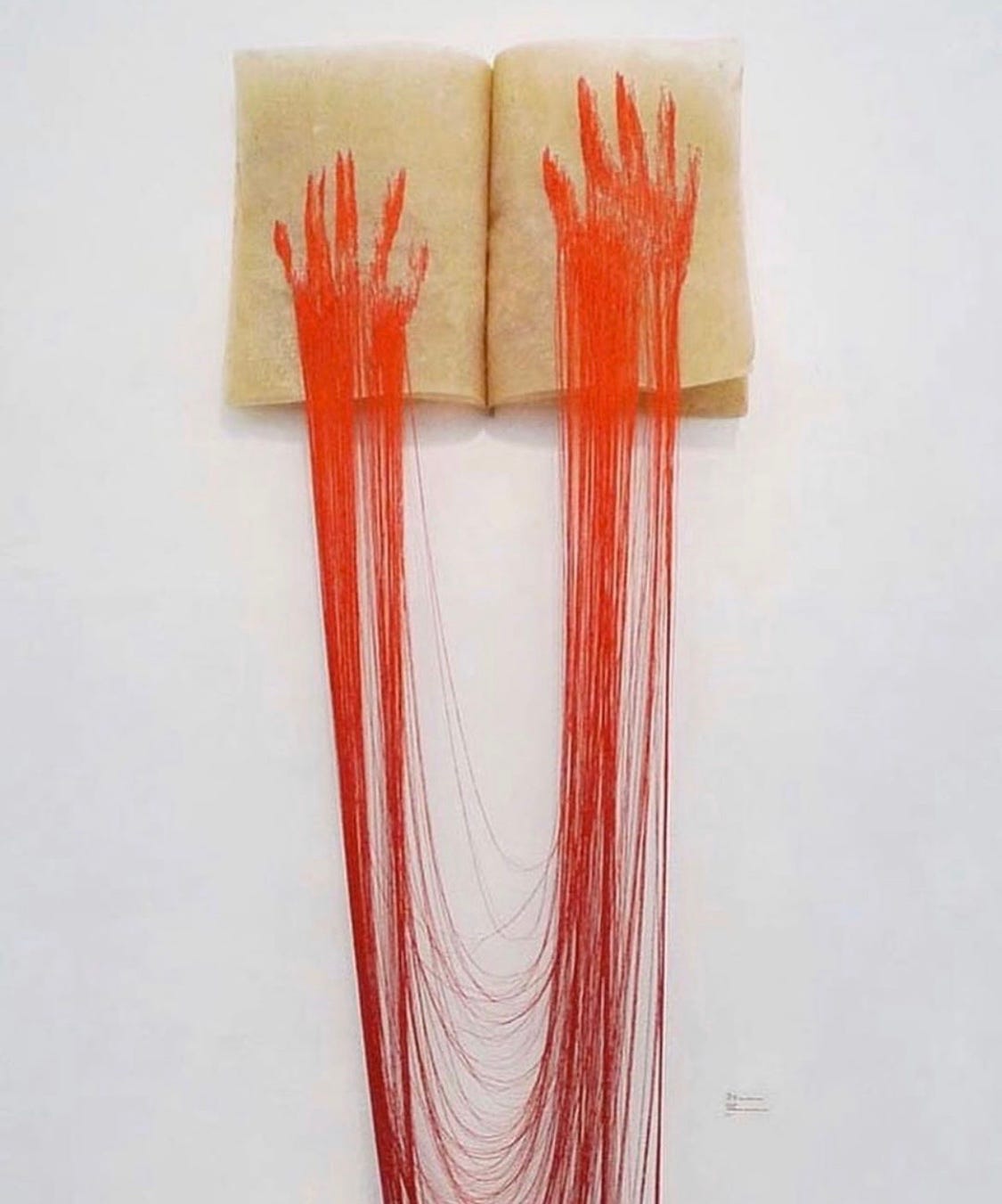 What I Learned From Reading Twilight - by Michelle Jia