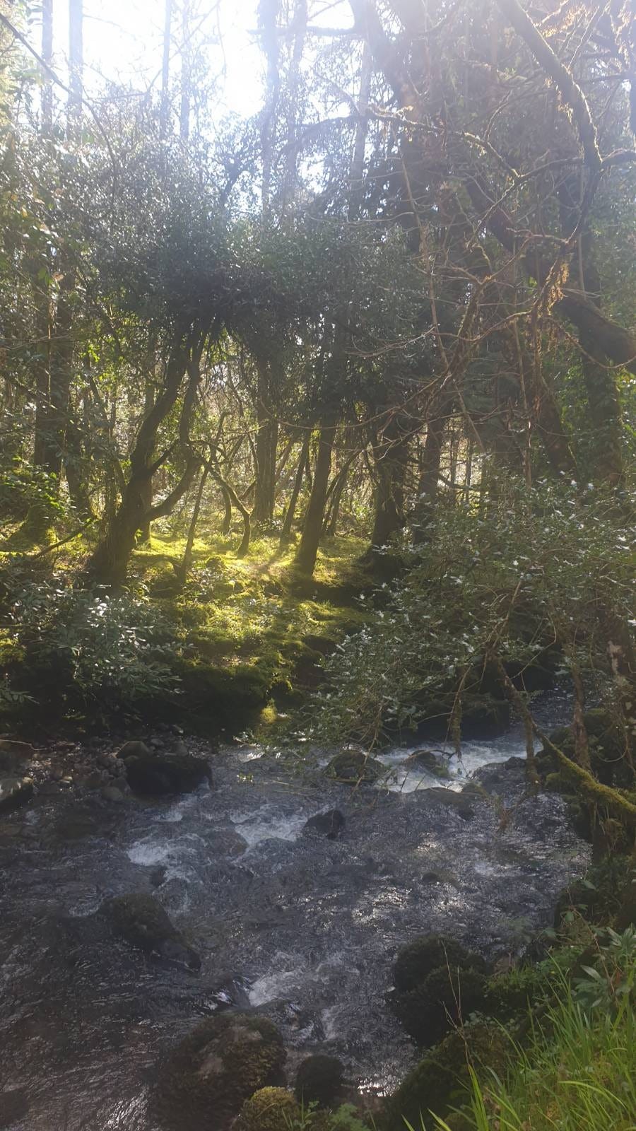 Way out West - by Ellowen - INHABIT